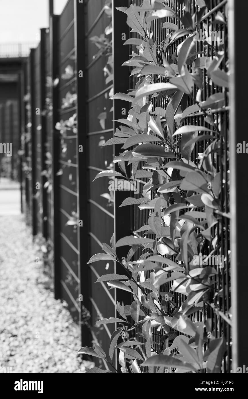 Building behind fence Black and White Stock Photos & Images - Alamy