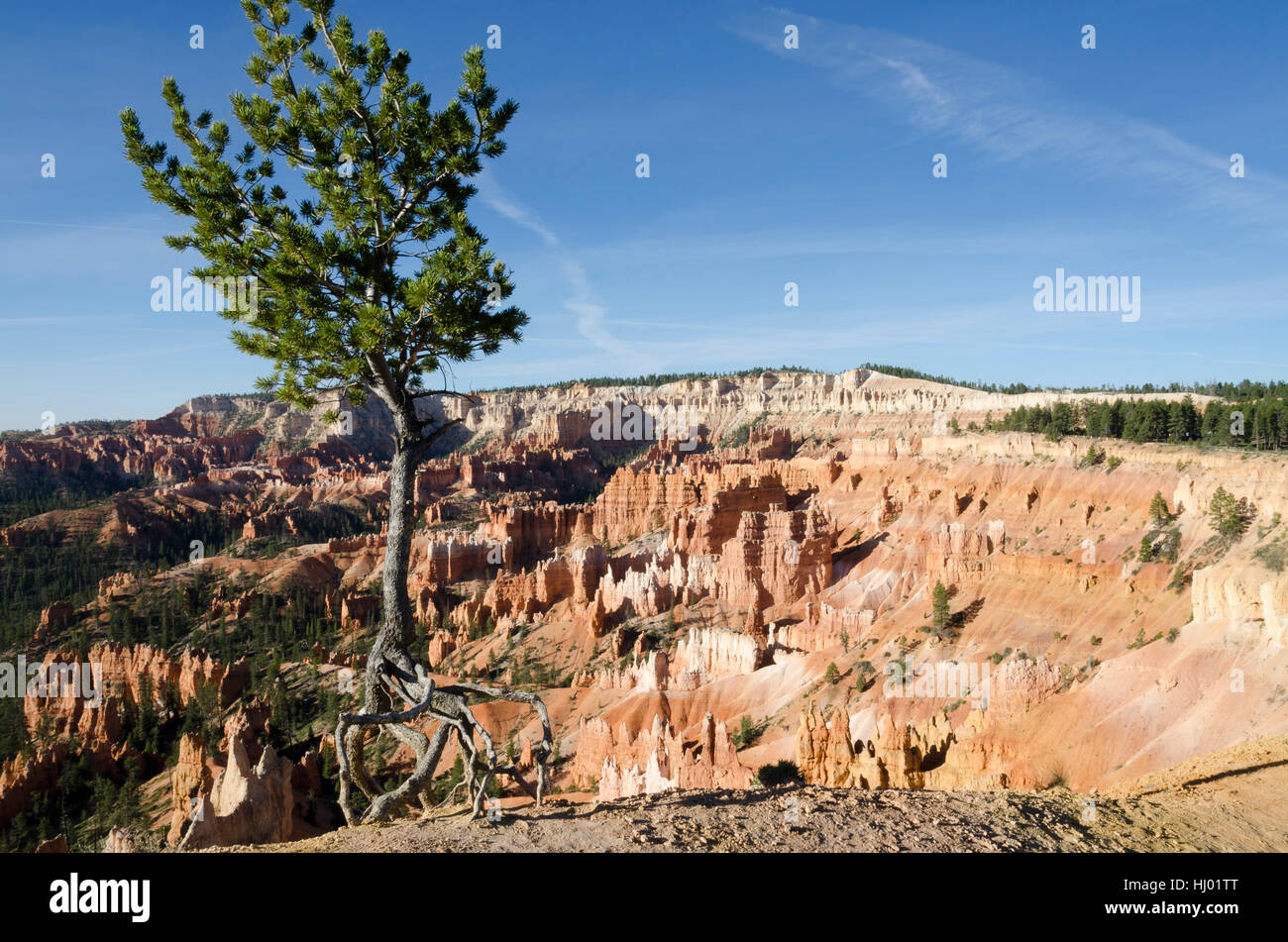 environment, enviroment, america, plateau, environment, enviroment ...