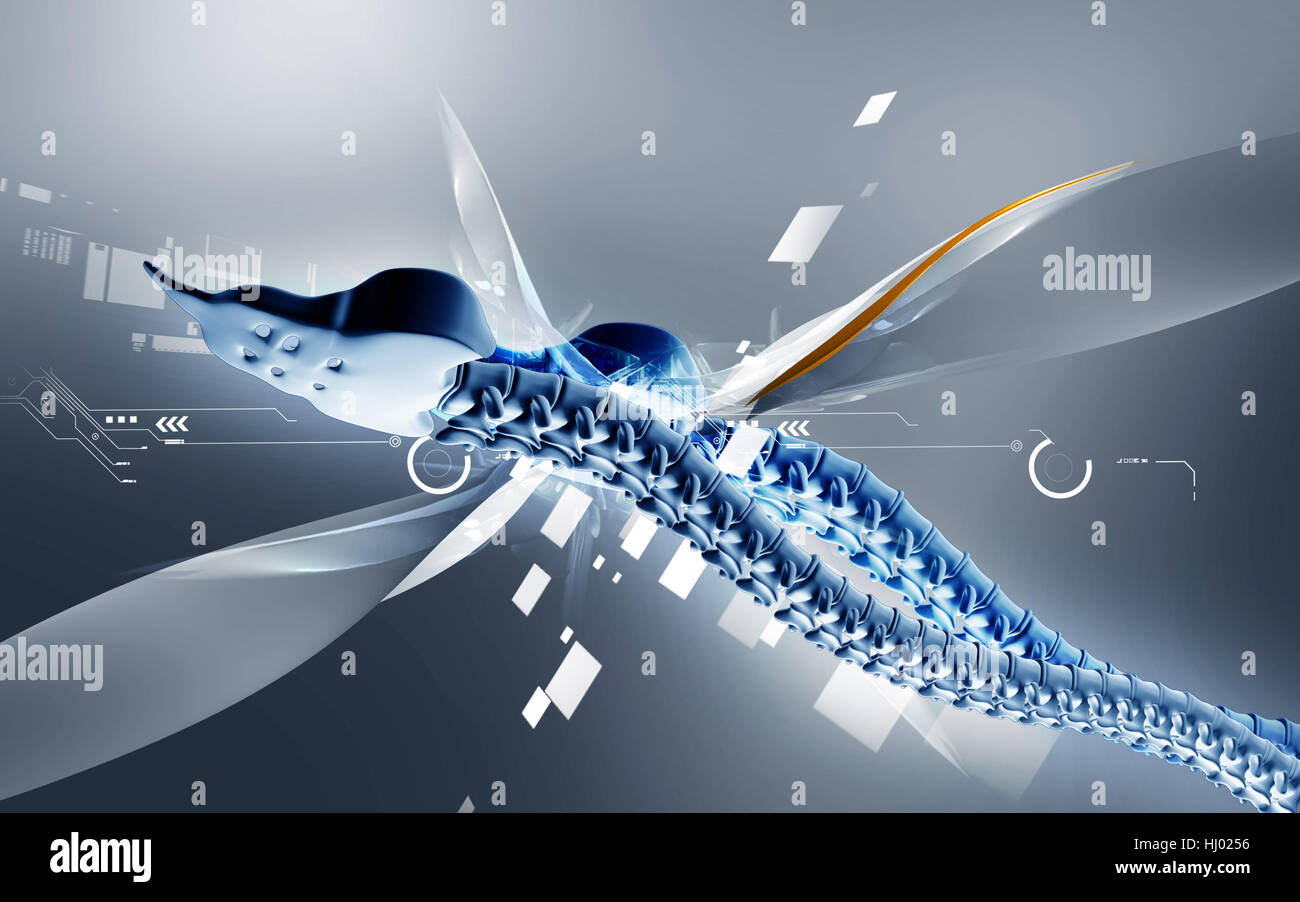 health, medicinally, medical, graphics, colour, illustration, stretch ...