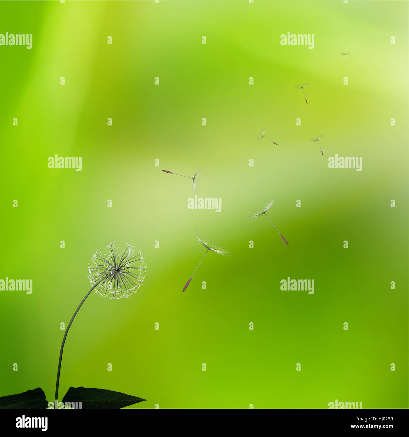 life, exist, existence, living, lives, live, art, graphics, model ...