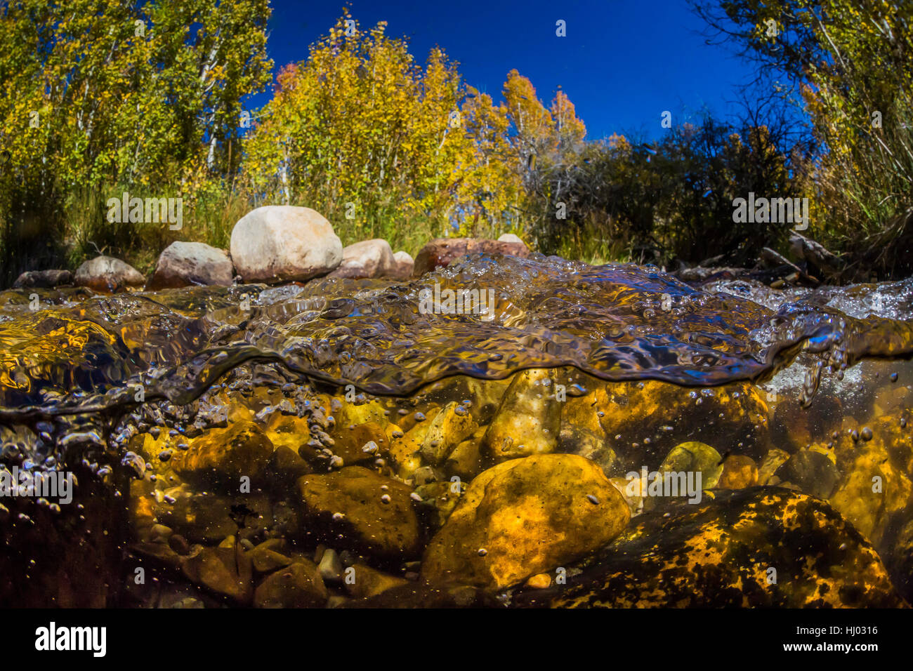 Split view river under water hi-res stock photography and images - Alamy