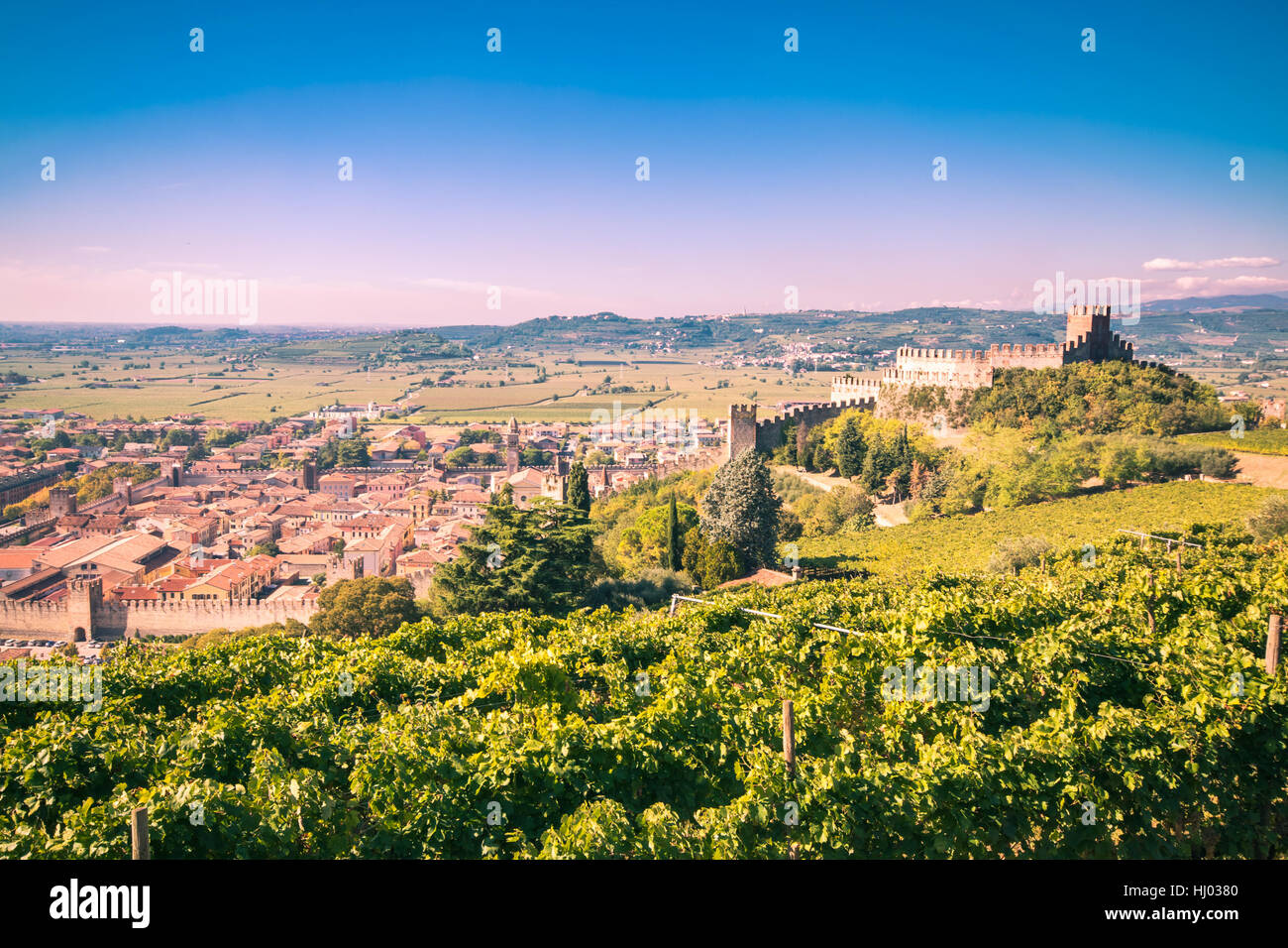 view of Soave (Italy) surrounded by vineyards that produce one of the ...