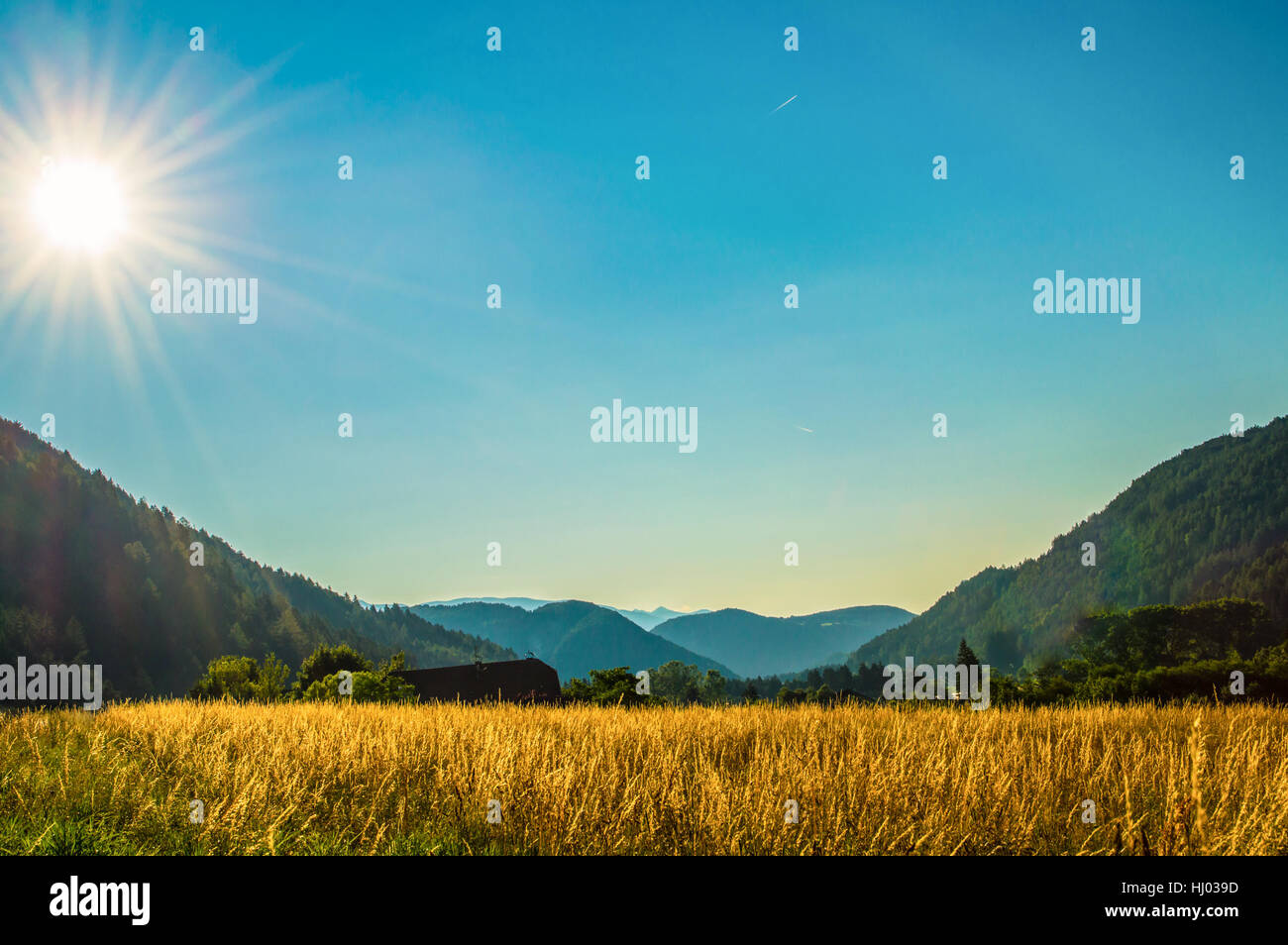 Alpine summer landscape with blue sky and copy space Stock Photo - Alamy