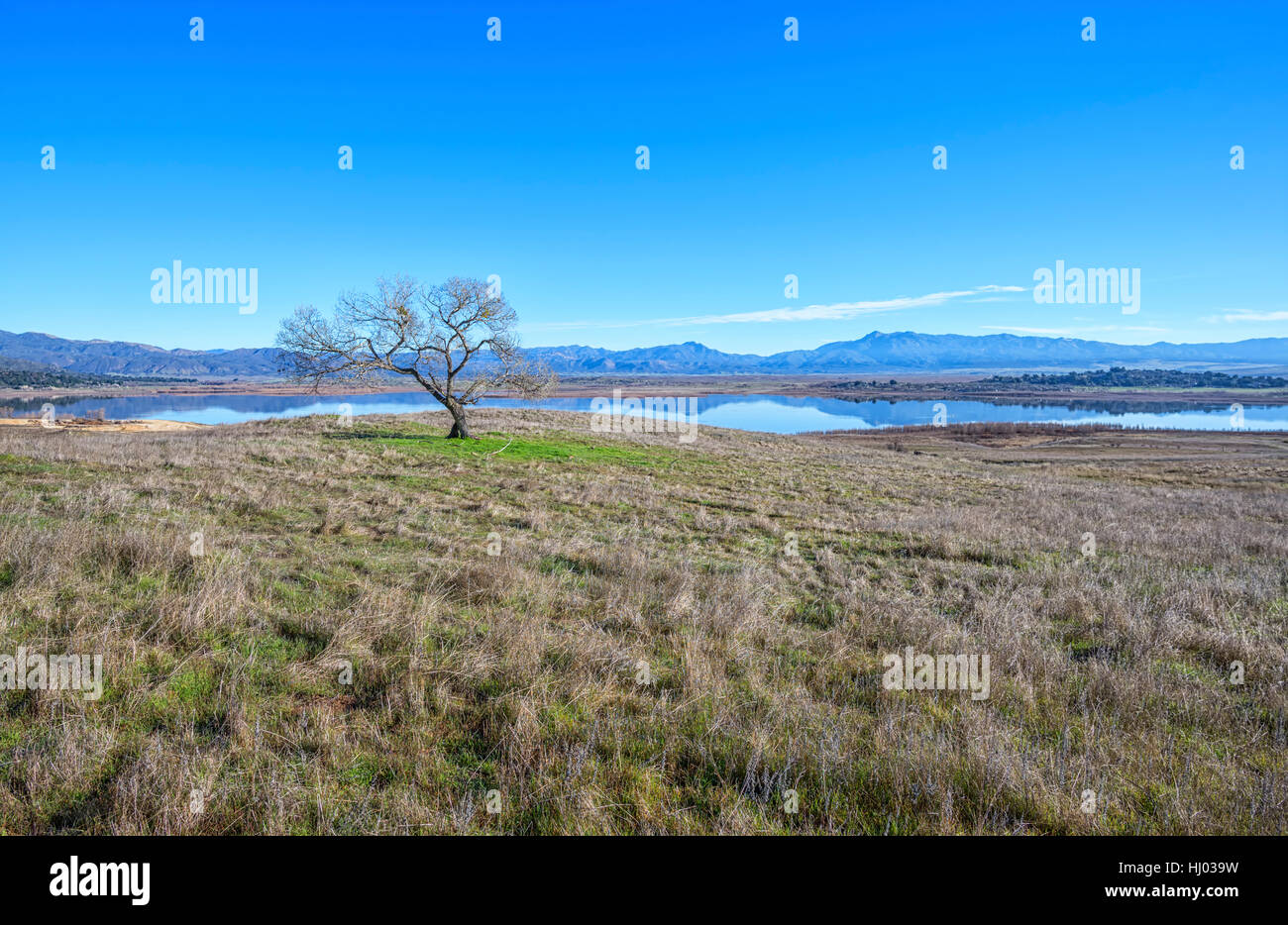 Meadow lake hi-res stock photography and images - Alamy