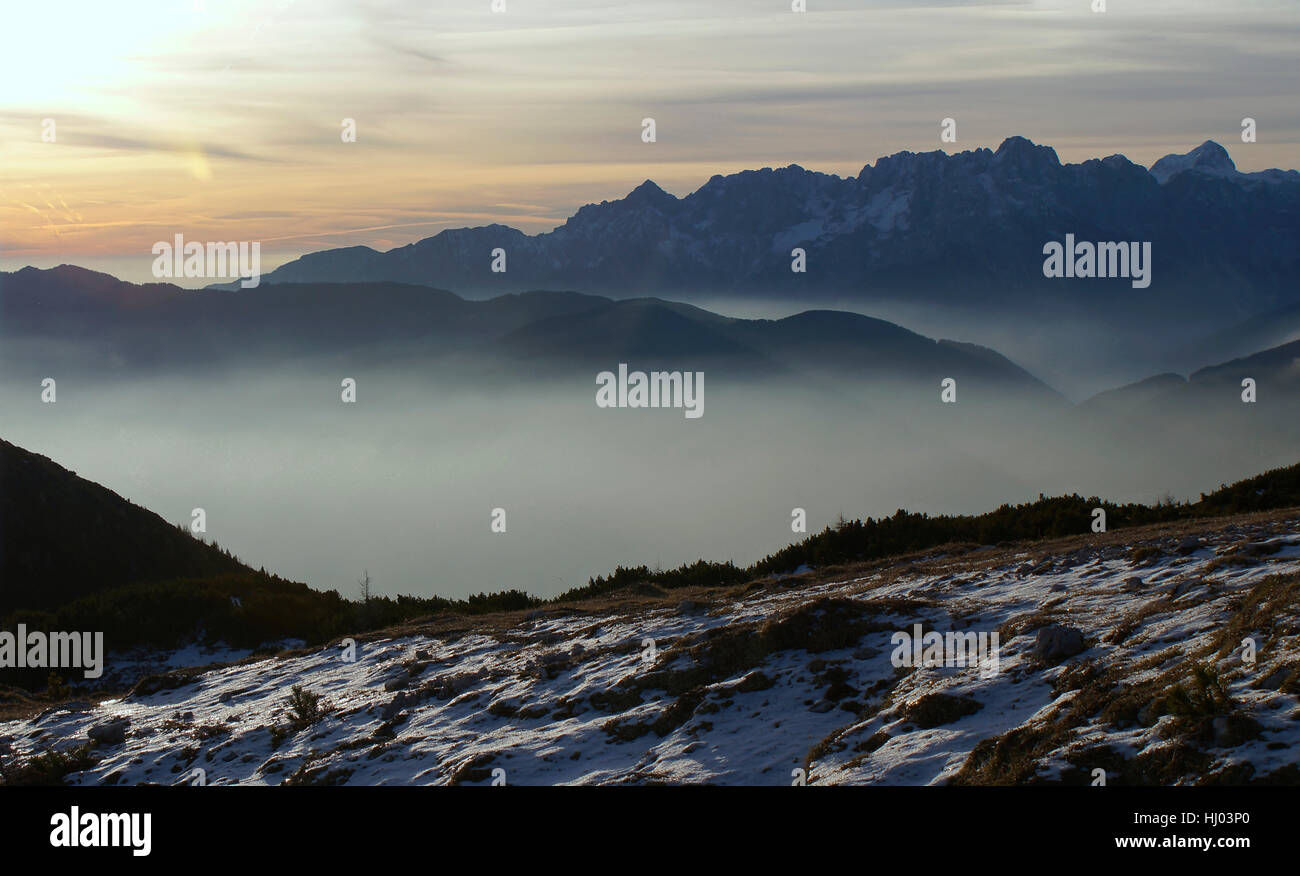 alps, alp, sunrise, timberline, meadow, mountain, scenery, countryside ...