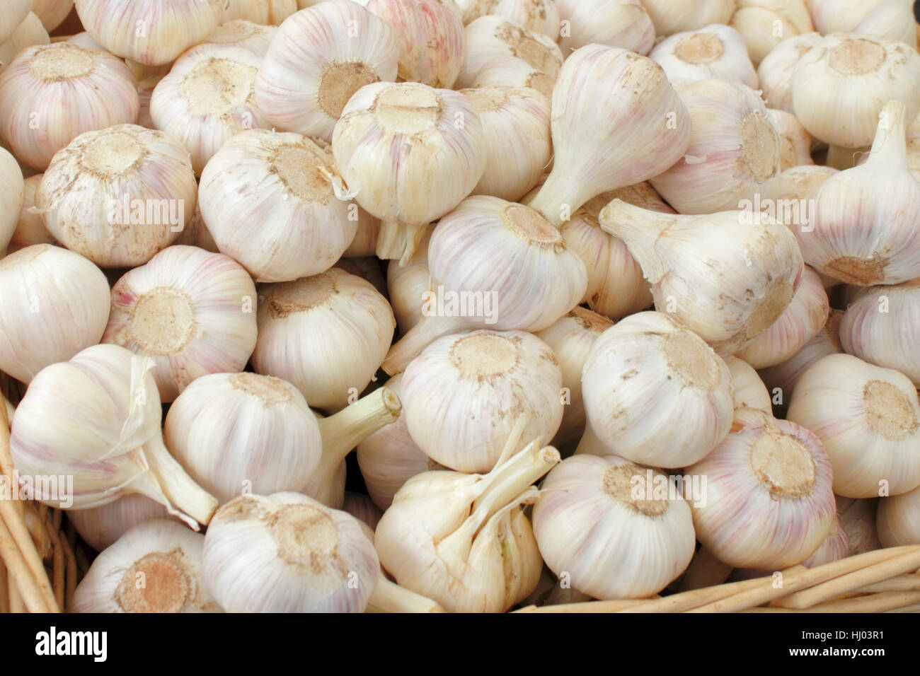 sale, garlic, bunch, display, bulb, bulbs, food, aliment, spice ...