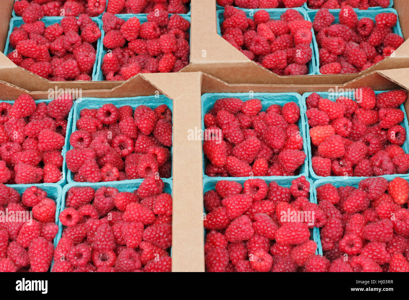 fruit, berries, raspberry, berry, raspberries, red, container ...