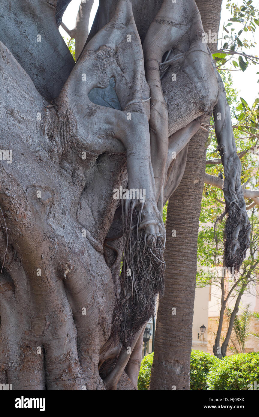 big, large, enormous, extreme, powerful, imposing, immense, relevant ...