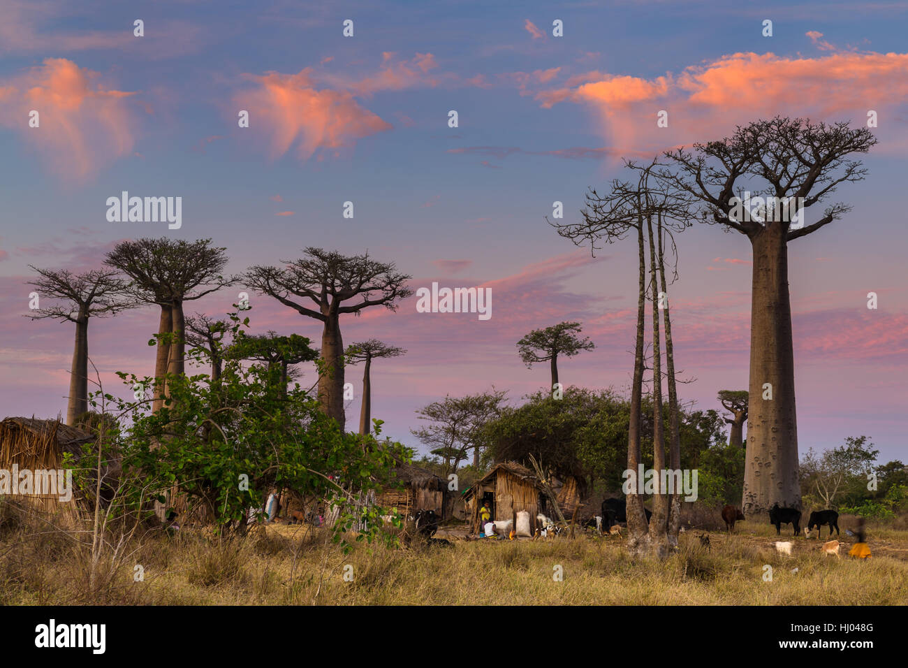 Country and life hi-res stock photography and images - Alamy