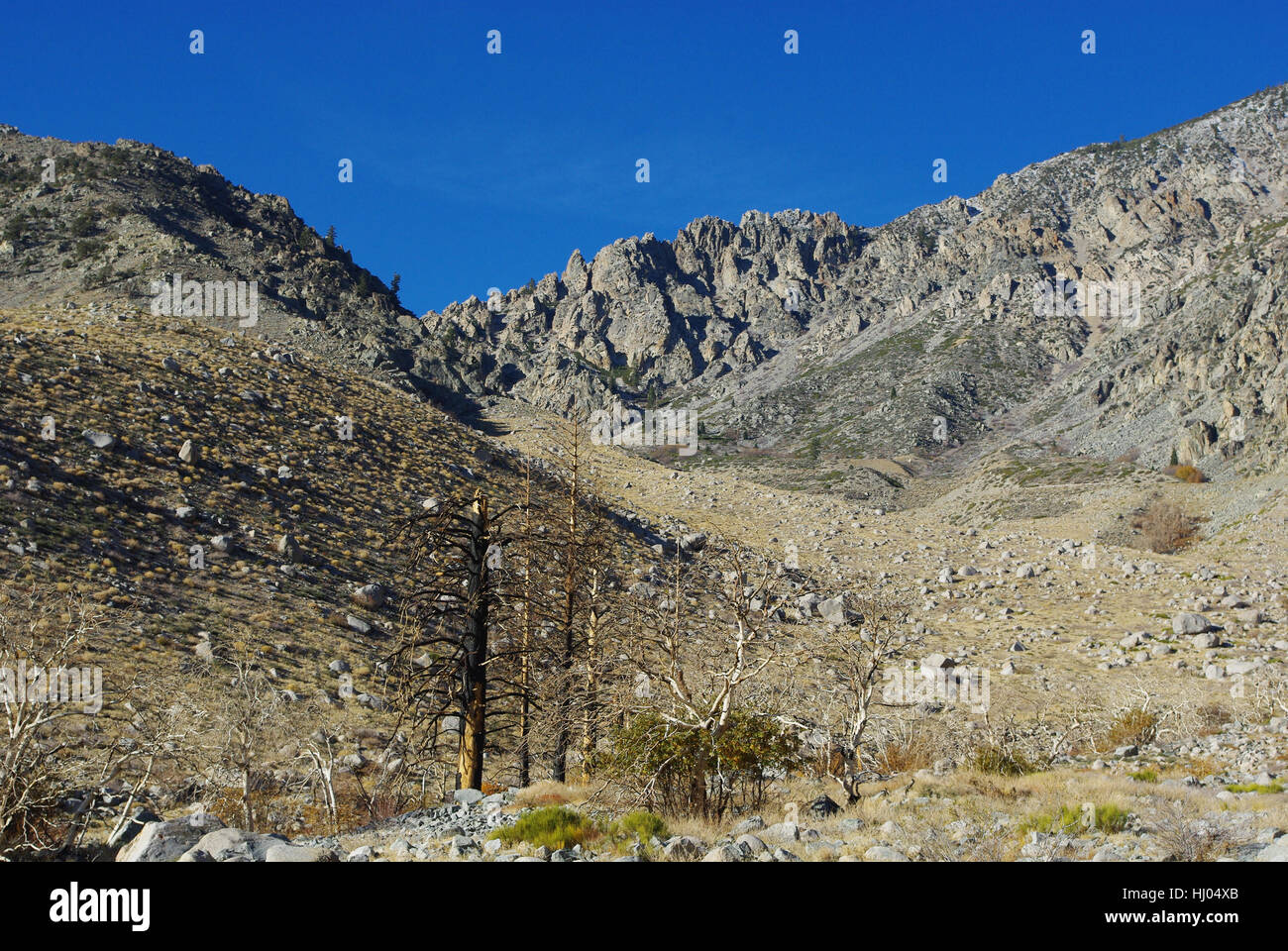 blue, tree, stone, rock, shrub, firmament, sky, mountain, blue, tree ...