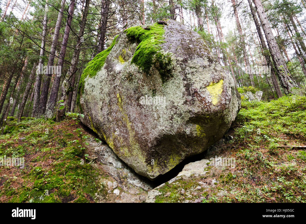 south tyrol, rock, moss, boulder, south tyrol, rock, moss, column ...