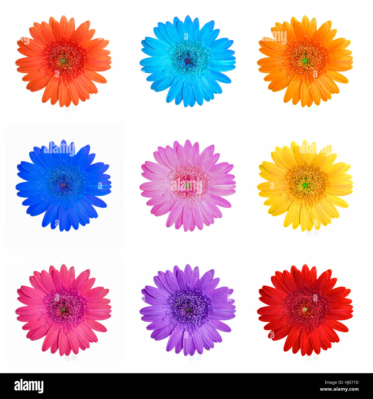 Flower collage hi-res stock photography and images - Alamy