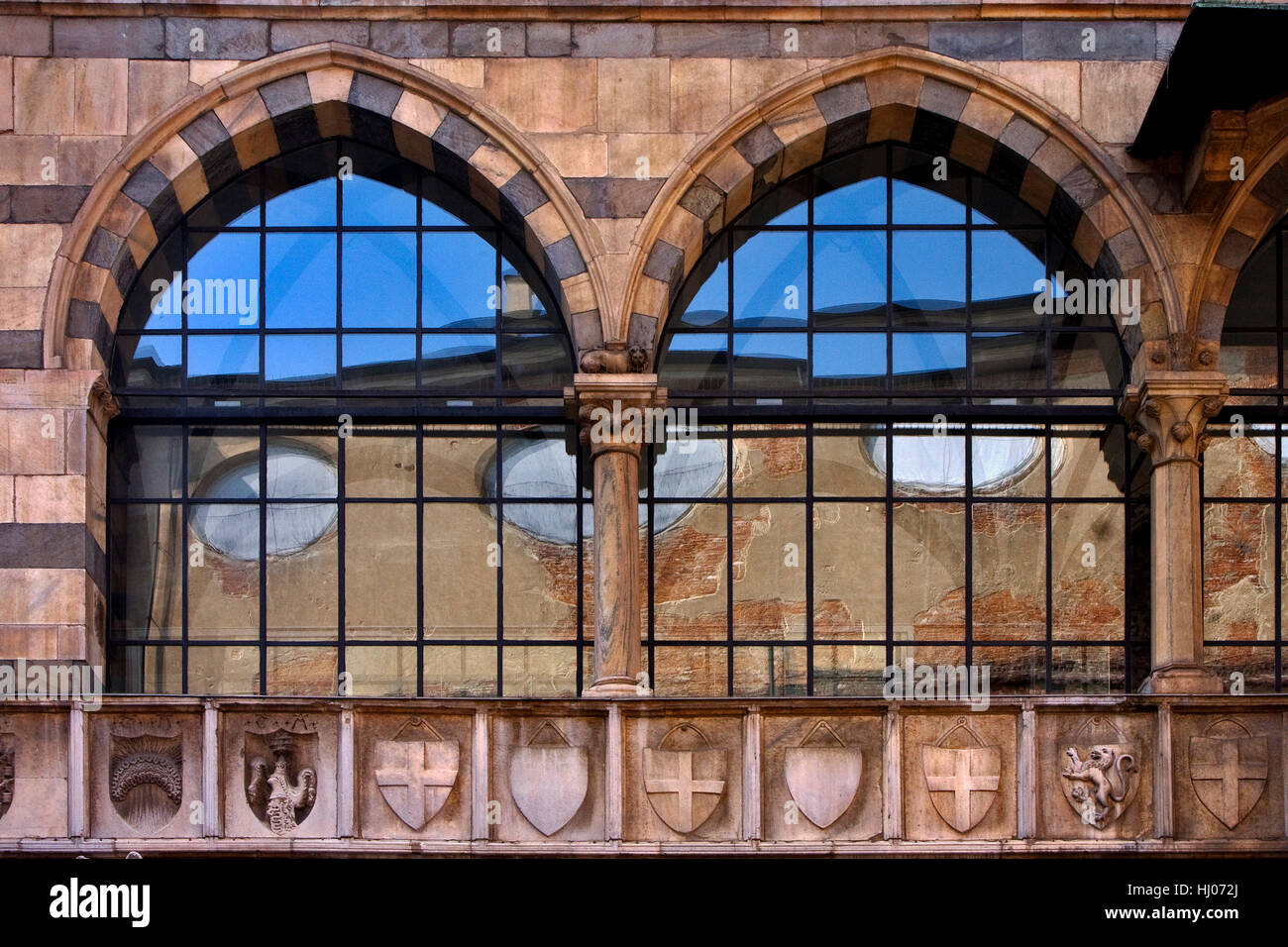 blue, story, flower, rose, plant, antique, brown, brownish, brunette ...