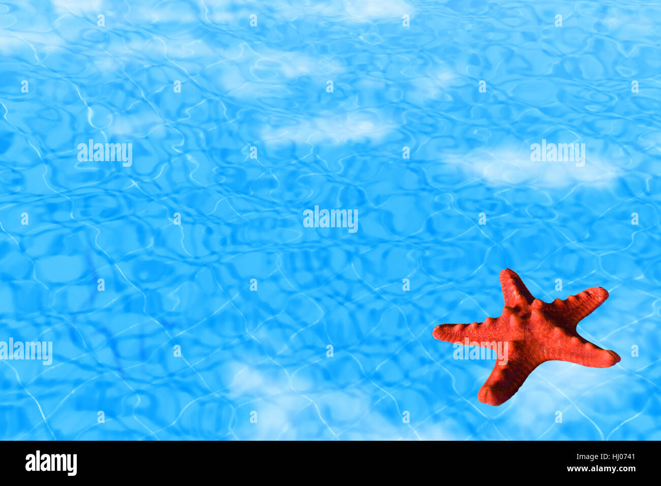 blue, summer, summerly, wave, abstract, starfish, backdrop, background ...