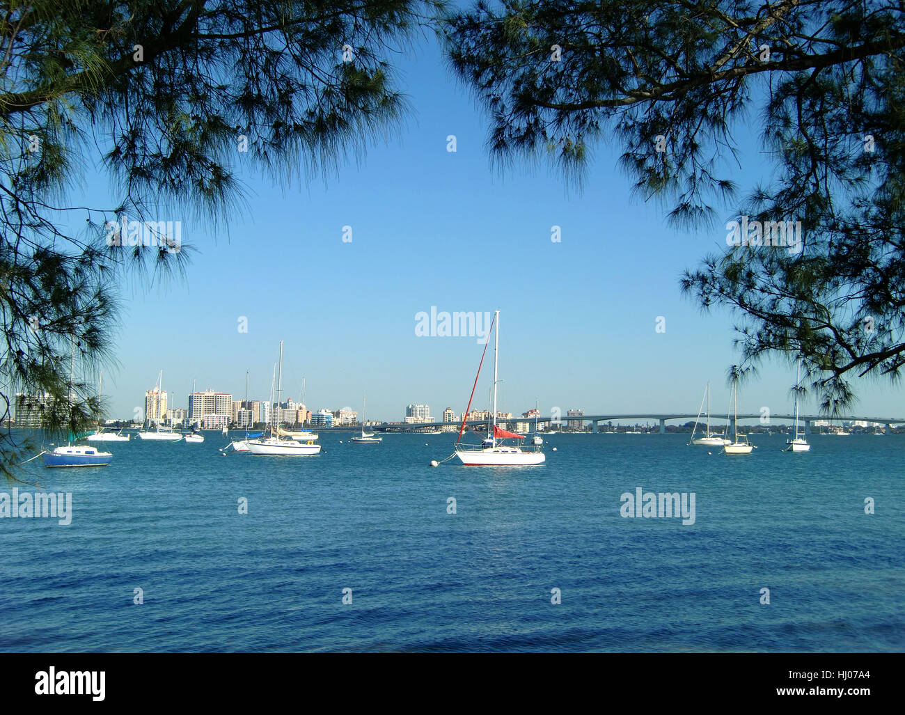 ships, sailing boat, sailboat, rowing boat, boat, watercraft, bridge ...