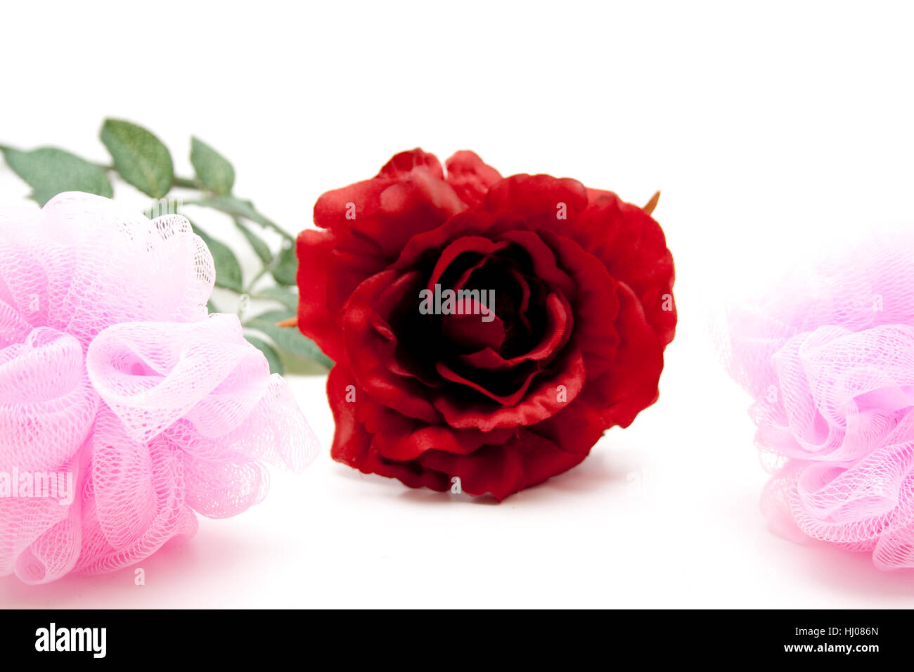 hygiene, personal care, bath sponge, flower, plant, rose, bloom ...