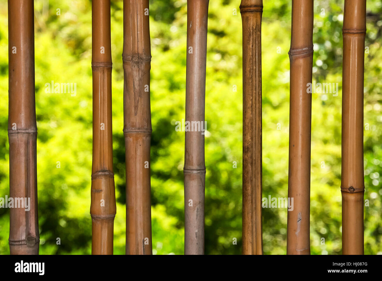Shaping bamboo hi-res stock photography and images - Alamy