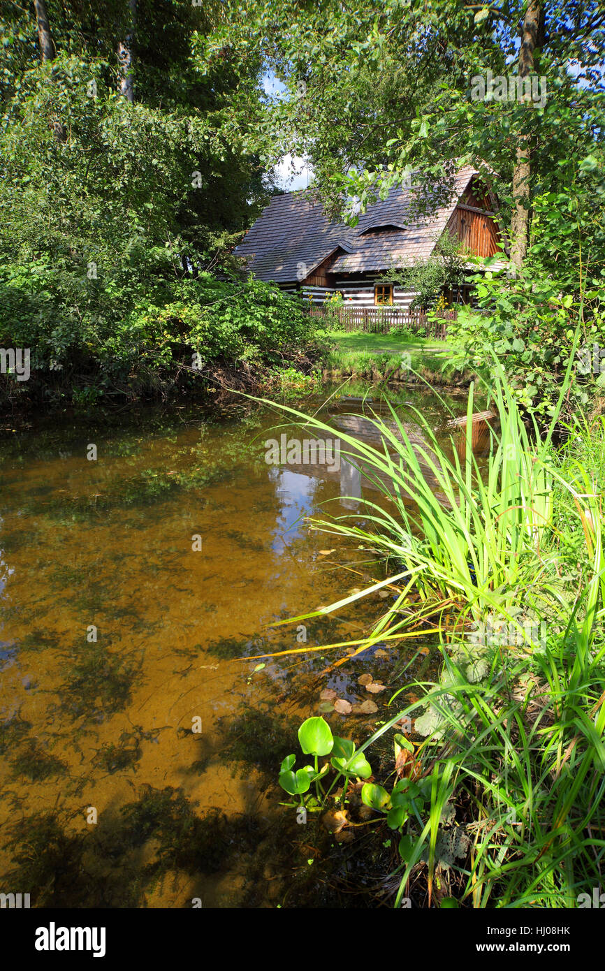 humans, human beings, people, folk, persons, human, human being, farm ...