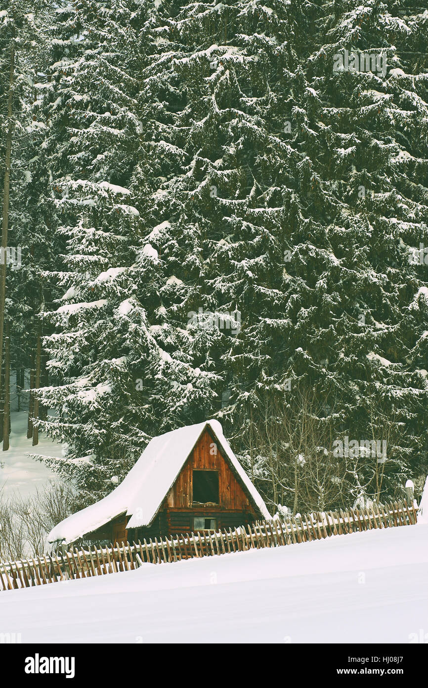 winter, snow, coke, cocaine, material, drug, anaesthetic, addictive ...