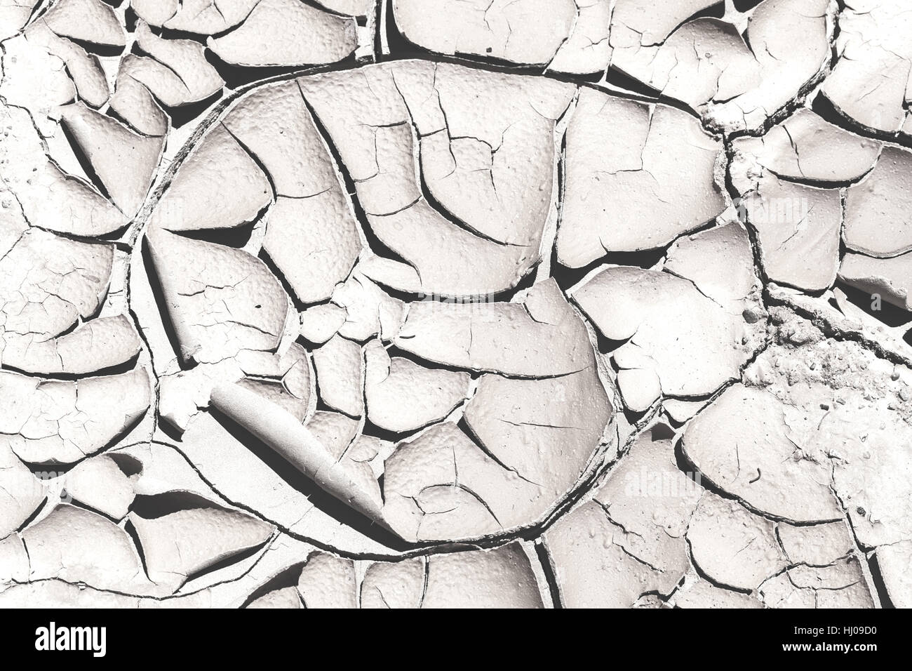 Trail of the dried and cracked mud in nature, note shallow depth of ...