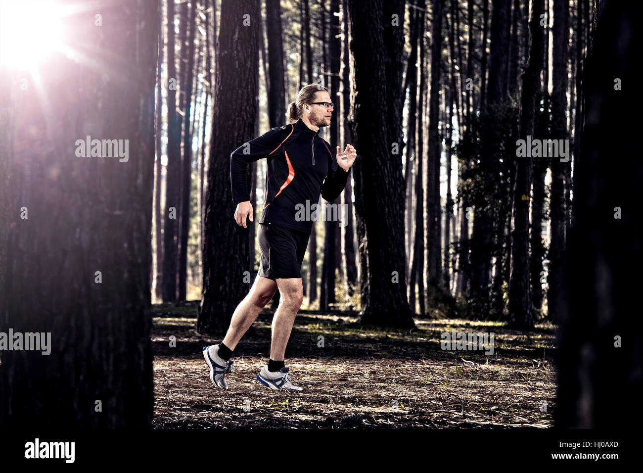 sport, sports, exercise, train, athlete, run, running, runs, exercising ...