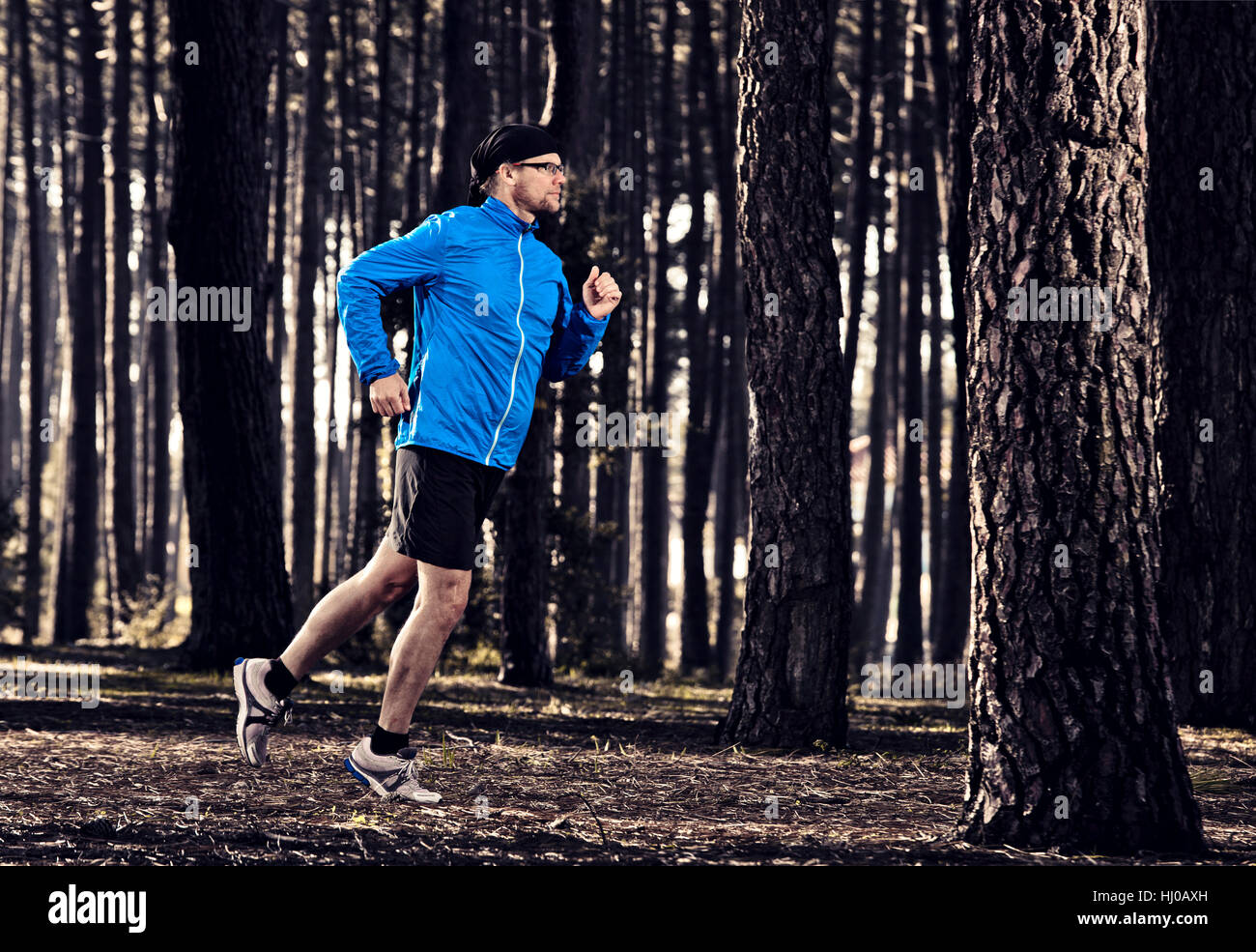 sport, sports, exercise, train, athlete, run, running, runs, exercising ...