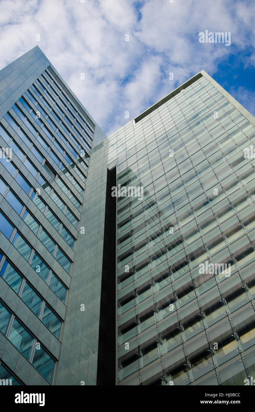 office, look, glancing, see, view, looking, peeking, looking at ...