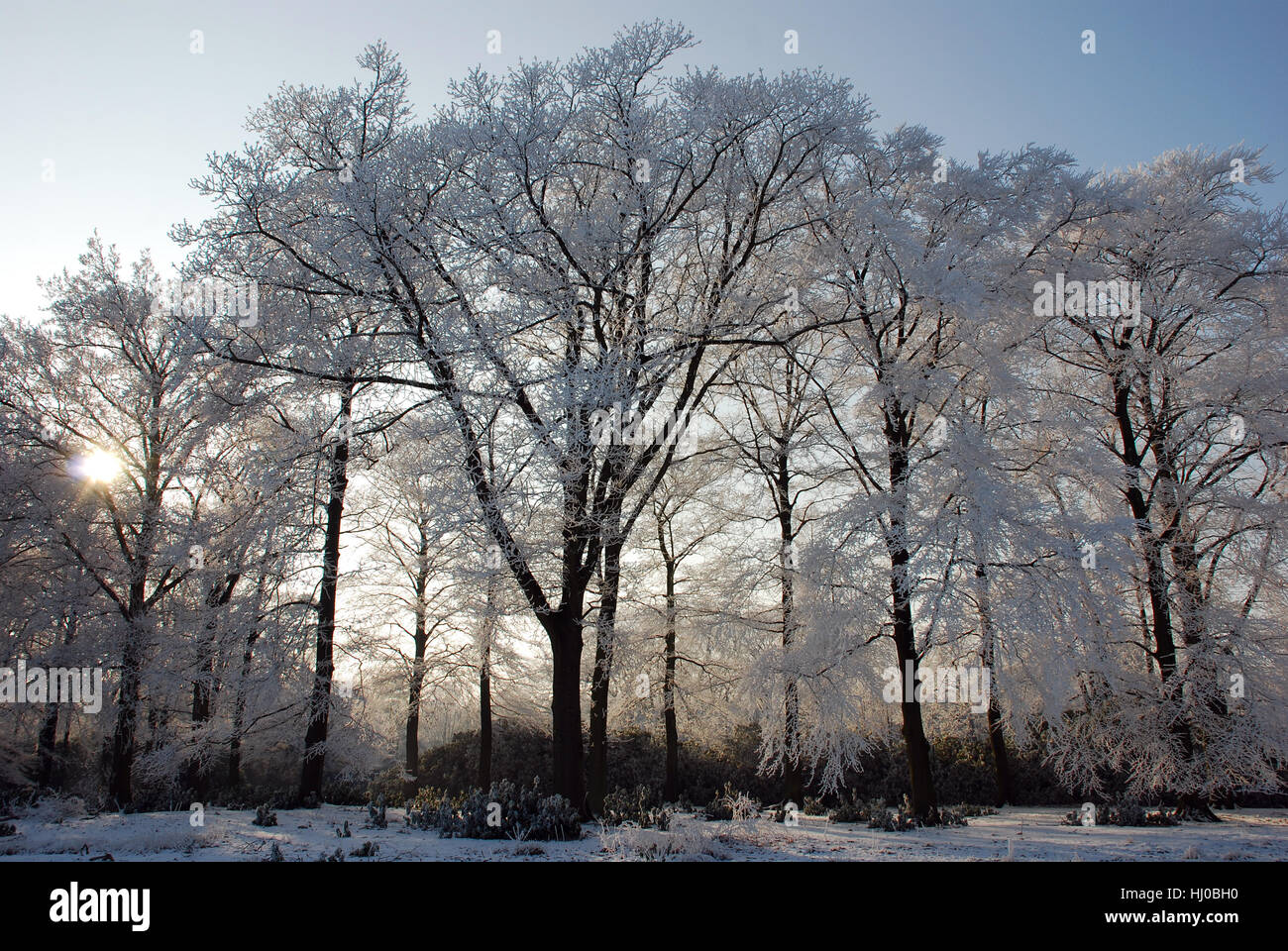 snow, coke, cocaine, material, drug, anaesthetic, addictive drug, white ...