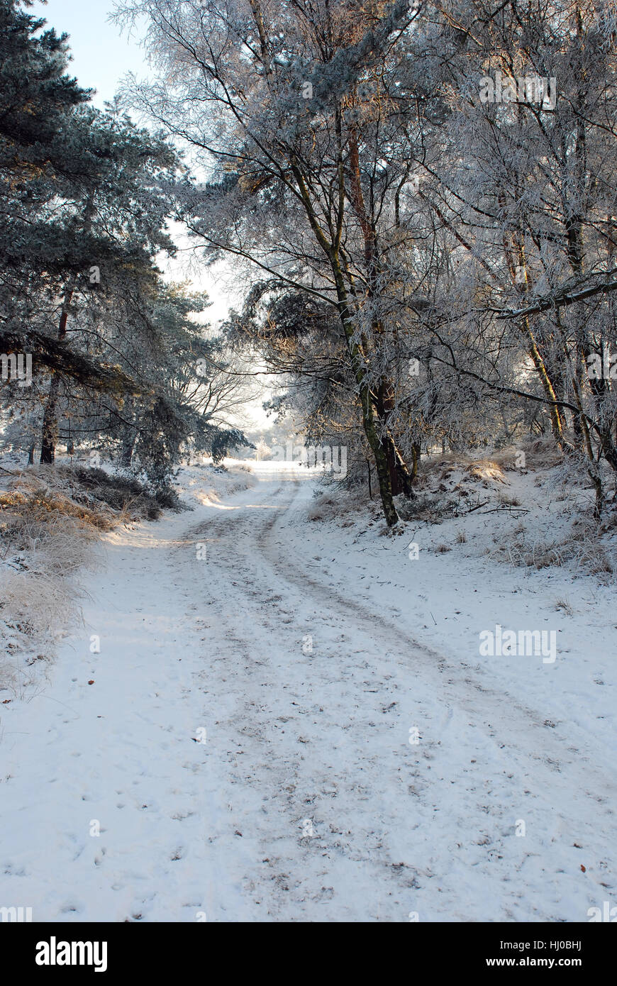 snow, coke, cocaine, material, drug, anaesthetic, addictive drug, white ...