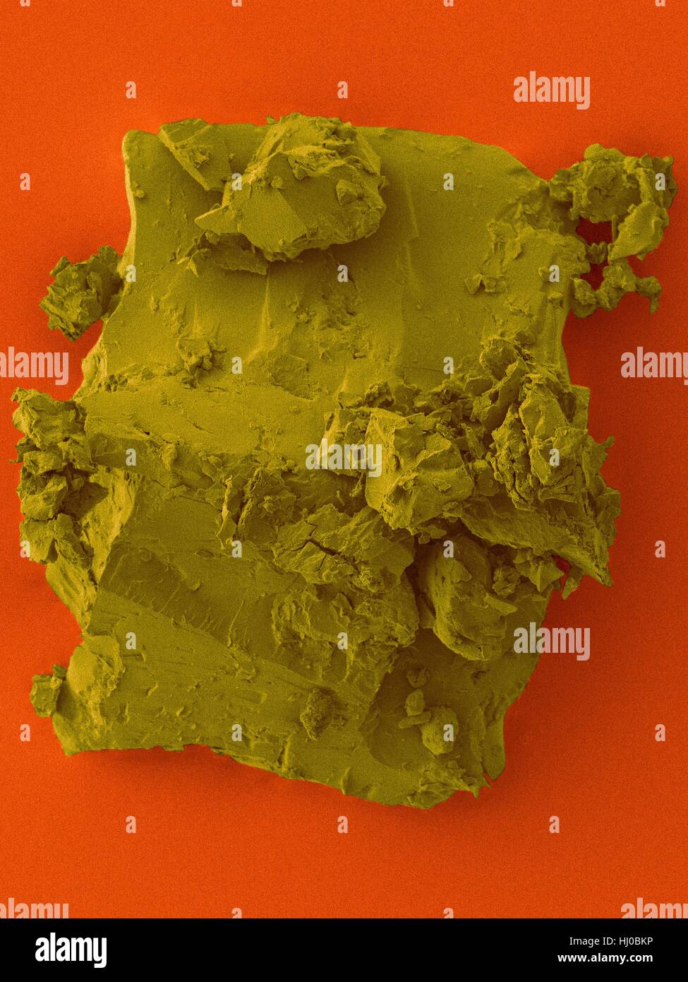 Peat Sedimentary Rock