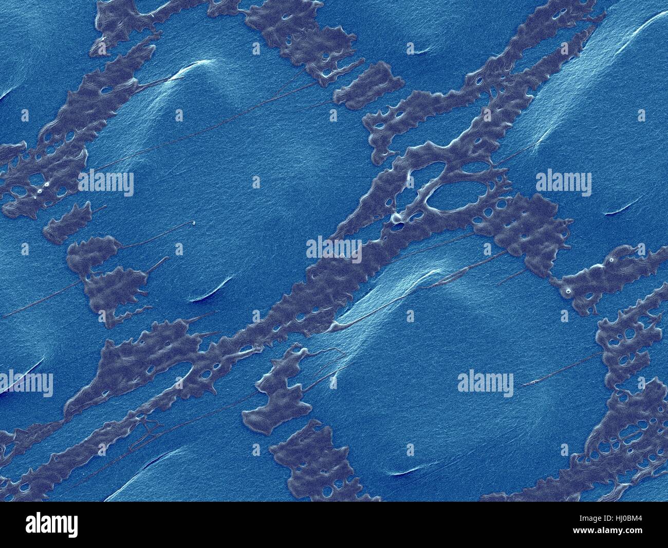Thin film micrograph hi-res stock photography and images - Alamy