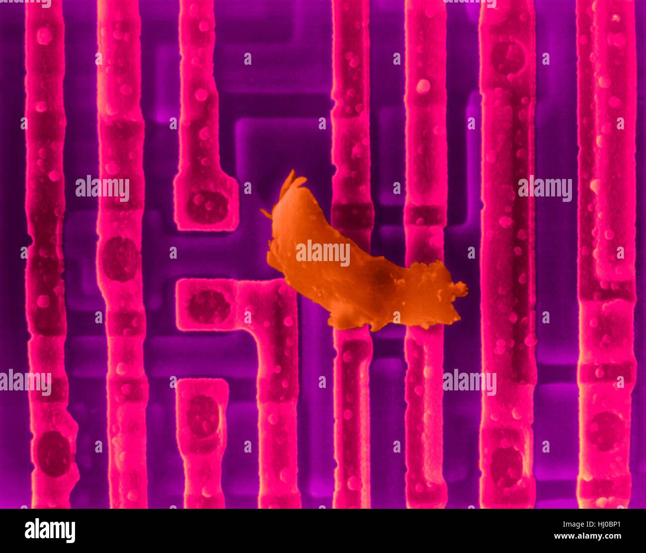 Computer Chips Stacked Under Microscope
