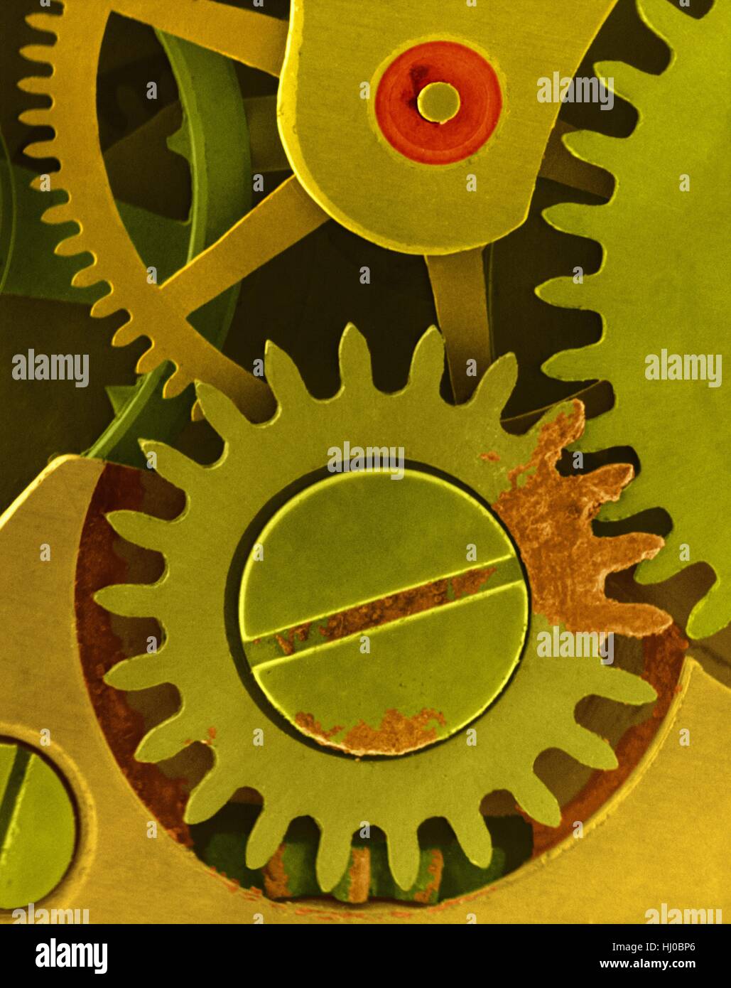 Coloured scanning electron micrograph (SEM) of Watch cogs and gears ...