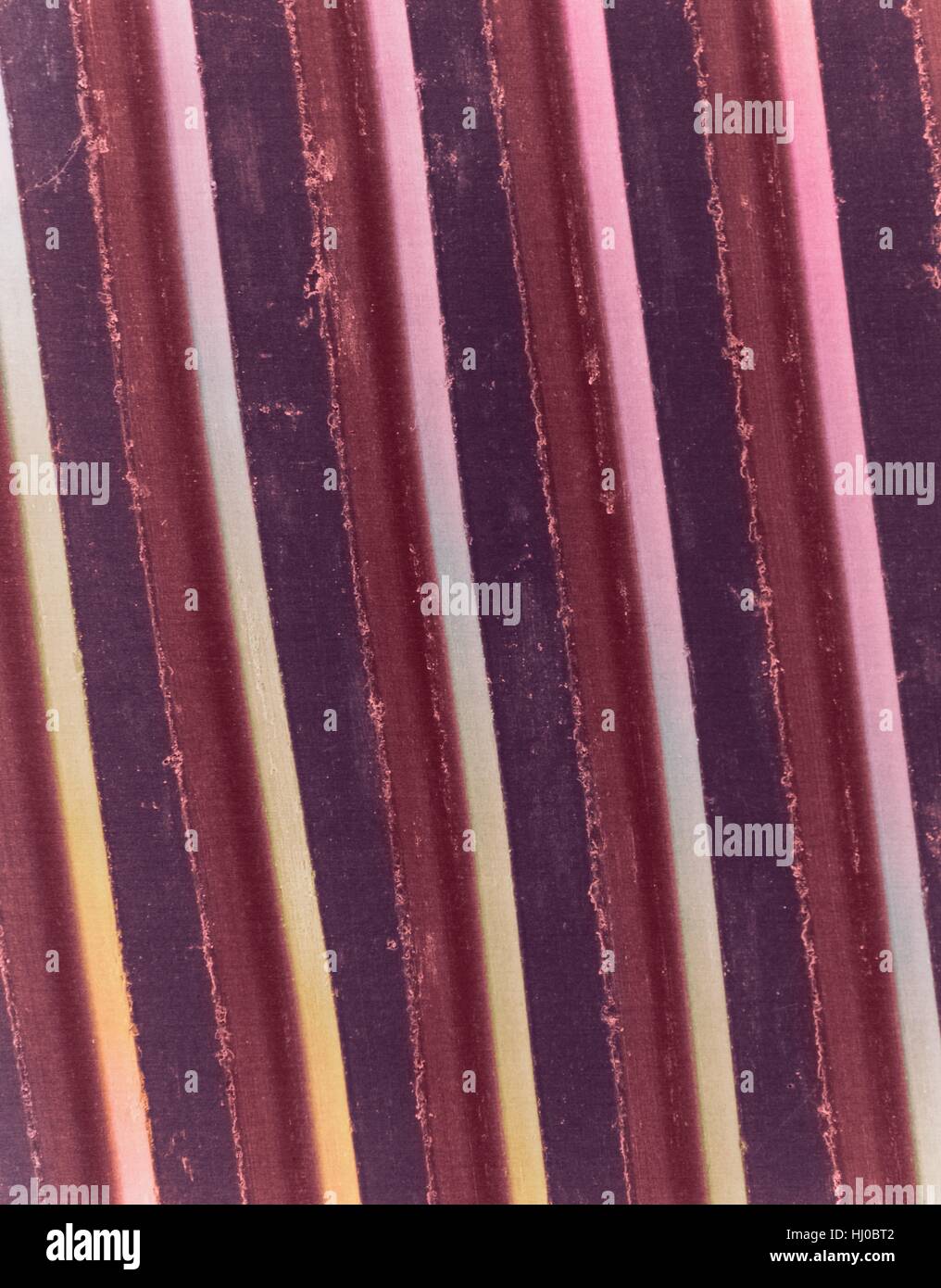 Coloured scanning electron micrograph (SEM) of Surface recording ...