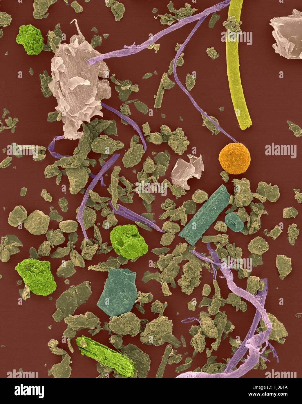 Sand Under Electron Microscope