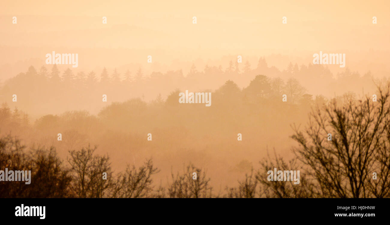 Puttenham surrey hi-res stock photography and images - Alamy