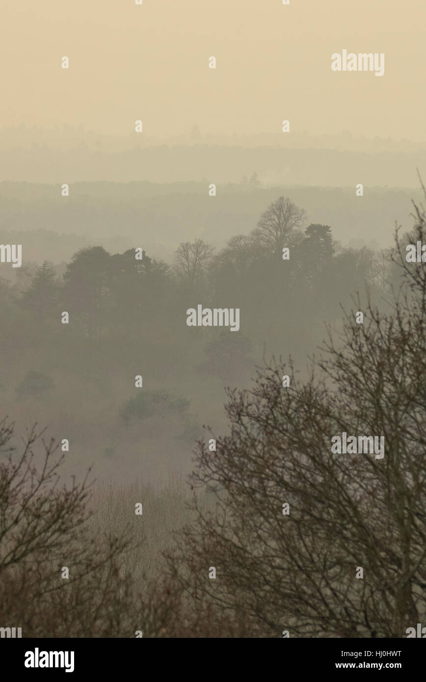 Puttenham Common, Elstead. 21st January 2017. High pressure ...