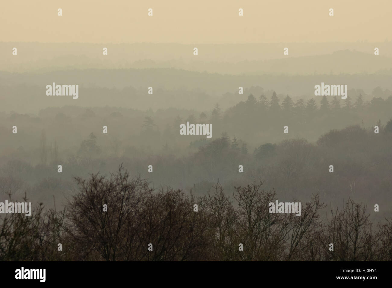 Puttenham surrey hi-res stock photography and images - Alamy