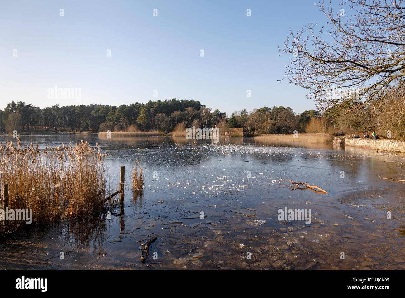 Little lake pond unusual hi-res stock photography and images - Alamy