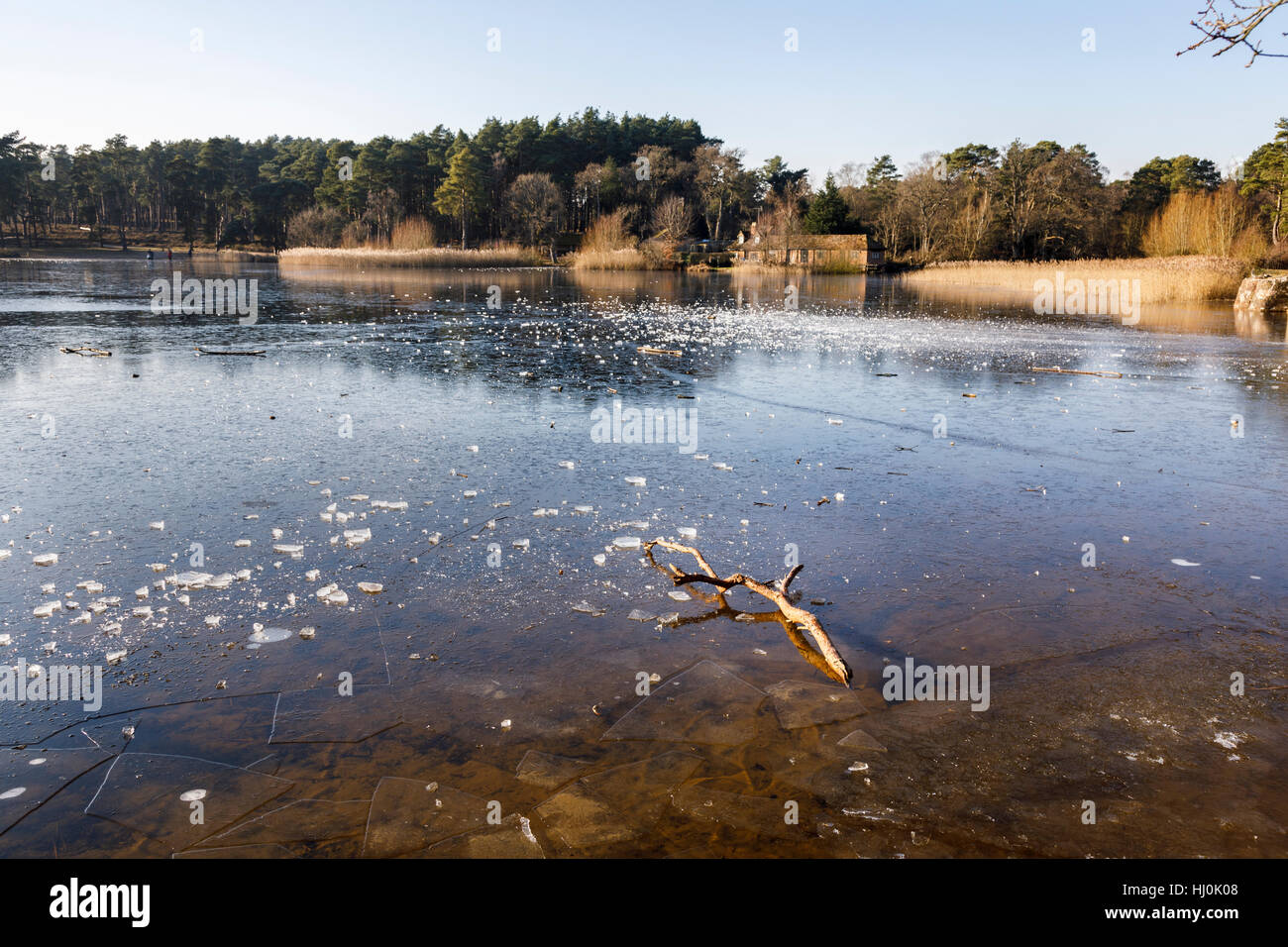 Frensham Little Pond, Farnham, Surrey, UK. 21st January 2017. The ...