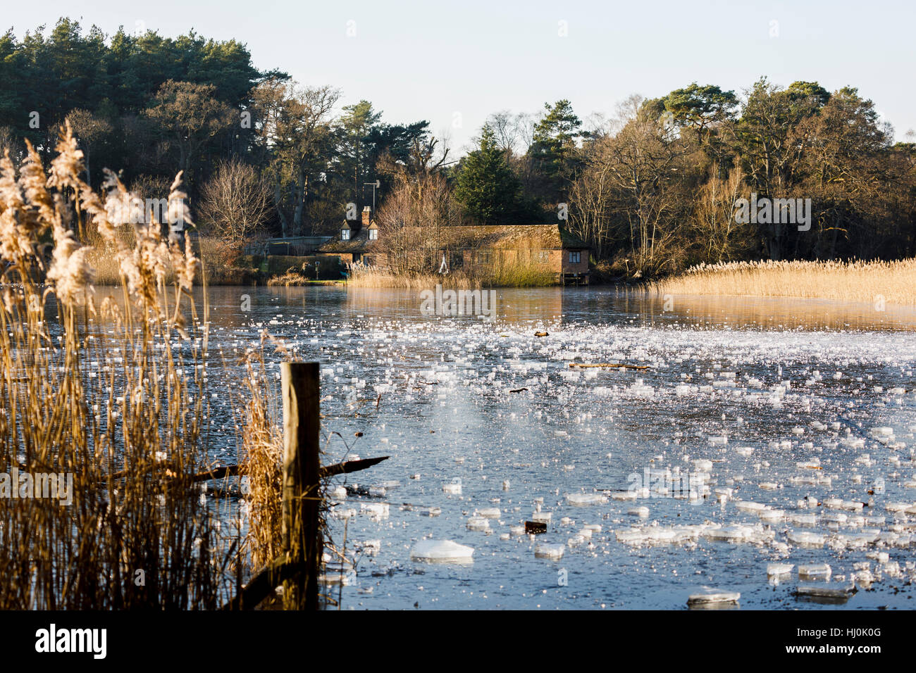 Frensham ponds hi-res stock photography and images - Alamy