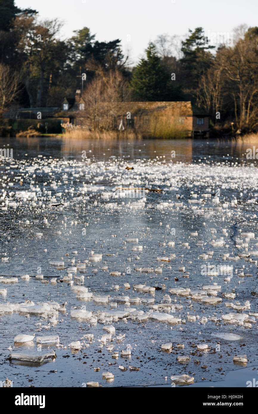 Frensham Little Pond, Farnham, Surrey, UK. 21st January 2017. The ...