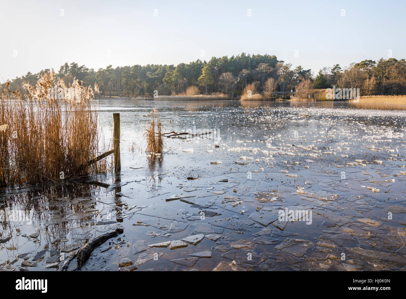 Ice At Frensham High Resolution Stock Photography and Images - Alamy