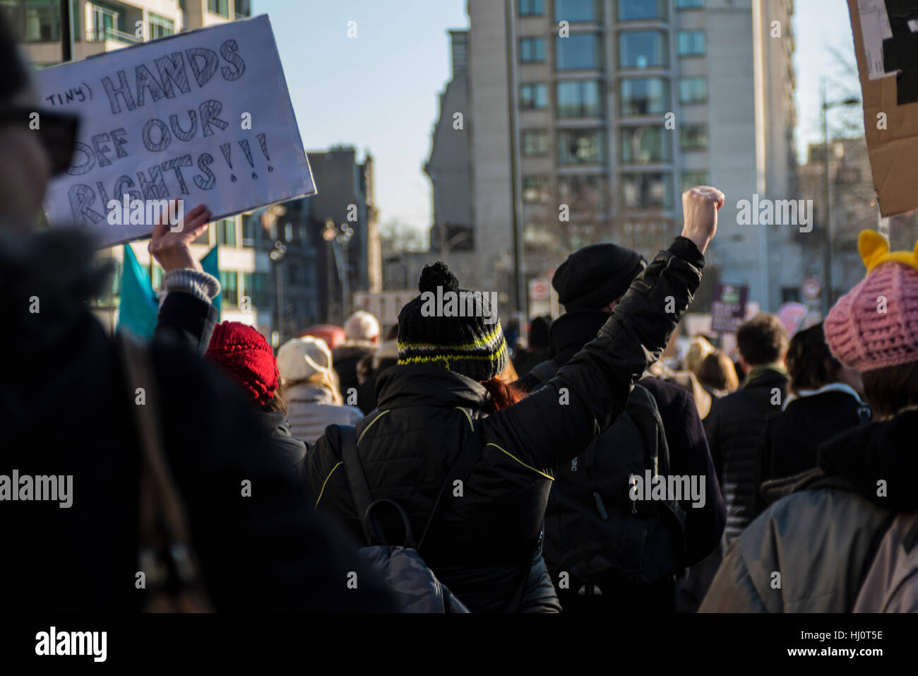 A female protestor raising her hand in protest at the Womens march on ...
