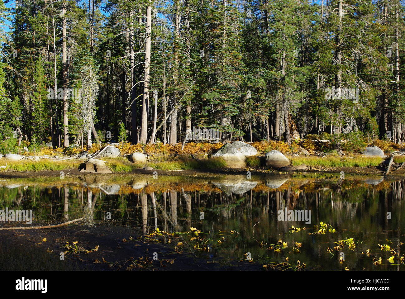 beautiful pond near edison lake,california Stock Photo - Alamy