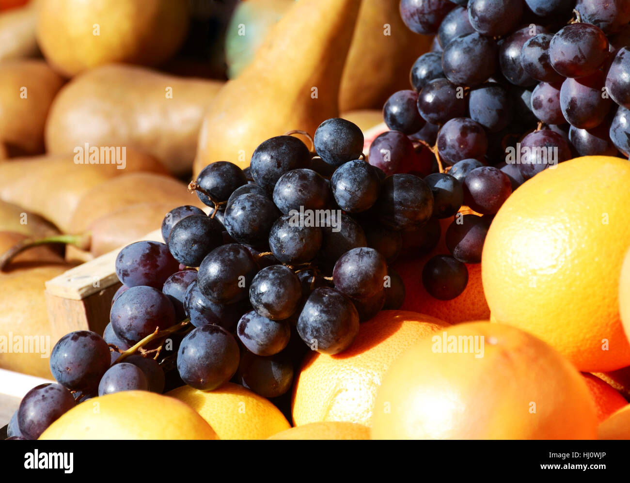 food, aliment, sweet, closeup, ripe, progenies, fruits, branch, fruit ...