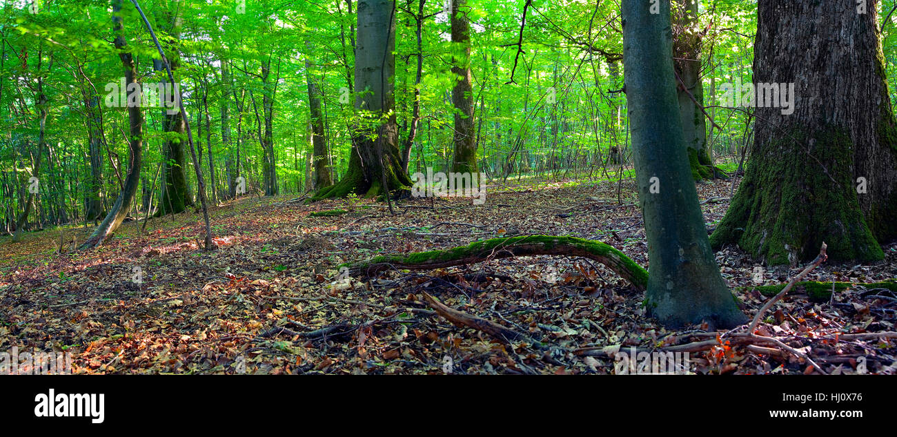 big, large, enormous, extreme, powerful, imposing, immense, relevant ...