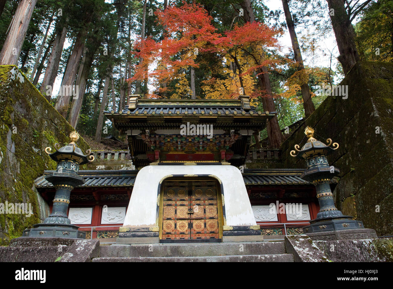 temple, leaves, japanese, japan, tokyo, foliage, fall, autumn ...