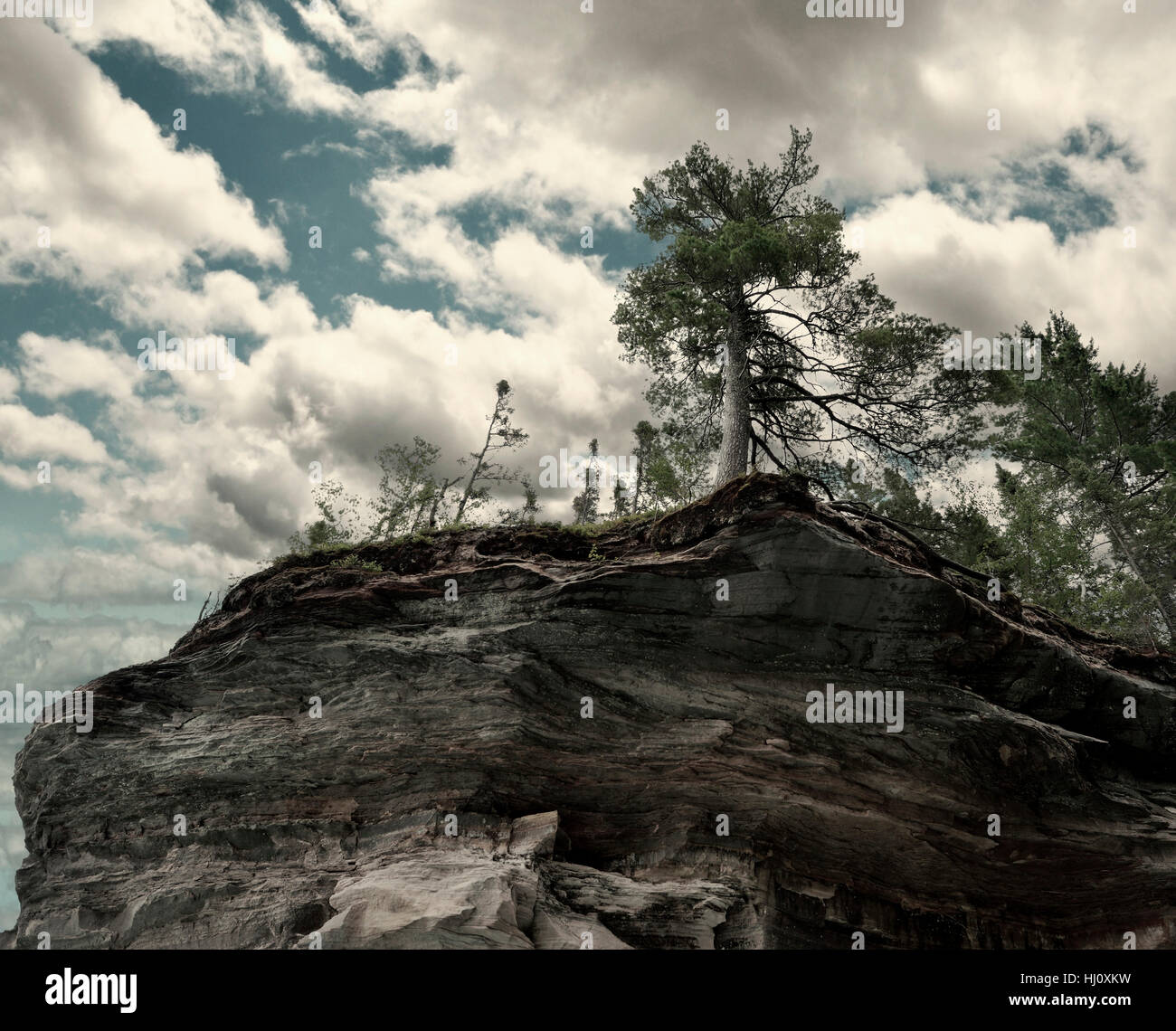 tree, stone, outdoor, cliff, rocks, mountain, nature, tree, hill, stone ...