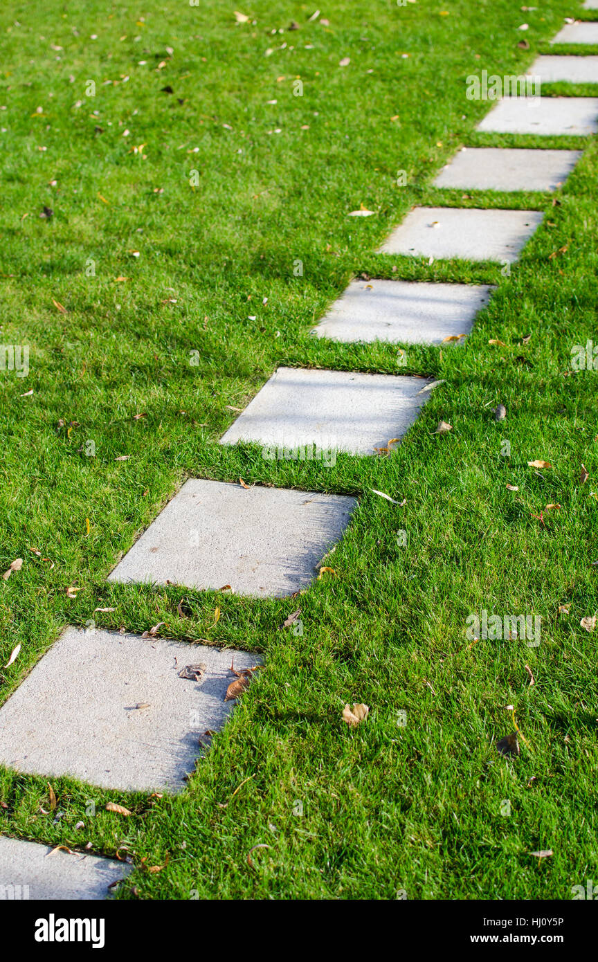 career, steps, step, route, direction, forward, development, path, way ...